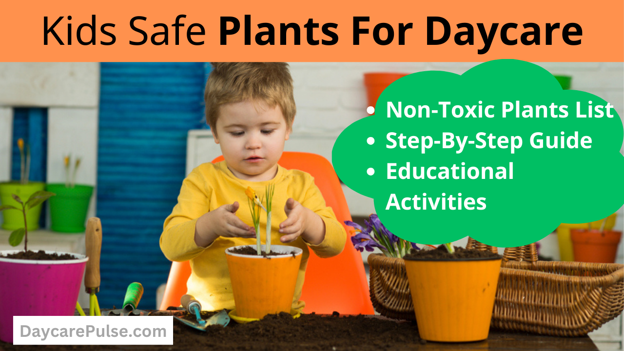 4 Easy Steps To Choose Kids Safe Plants For Daycare